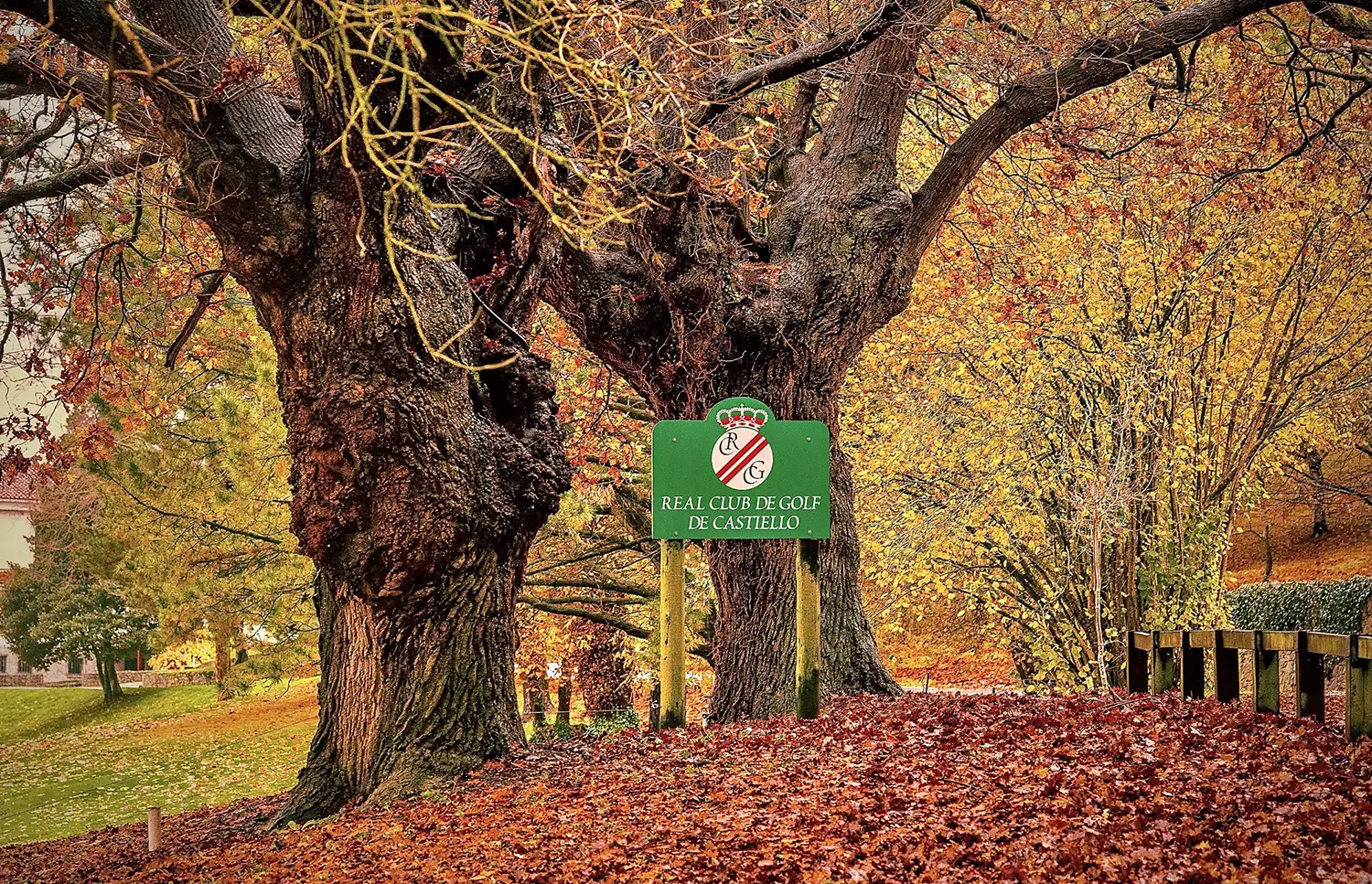 A glimpse into the corners of the club - Real Club de Golf de Castiello
